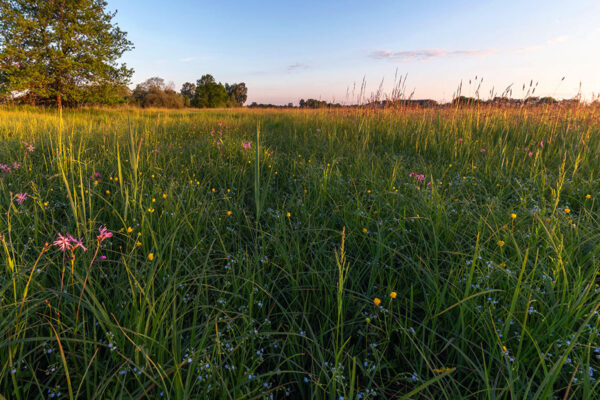 A closer look at UMB’s environmental policies and practices